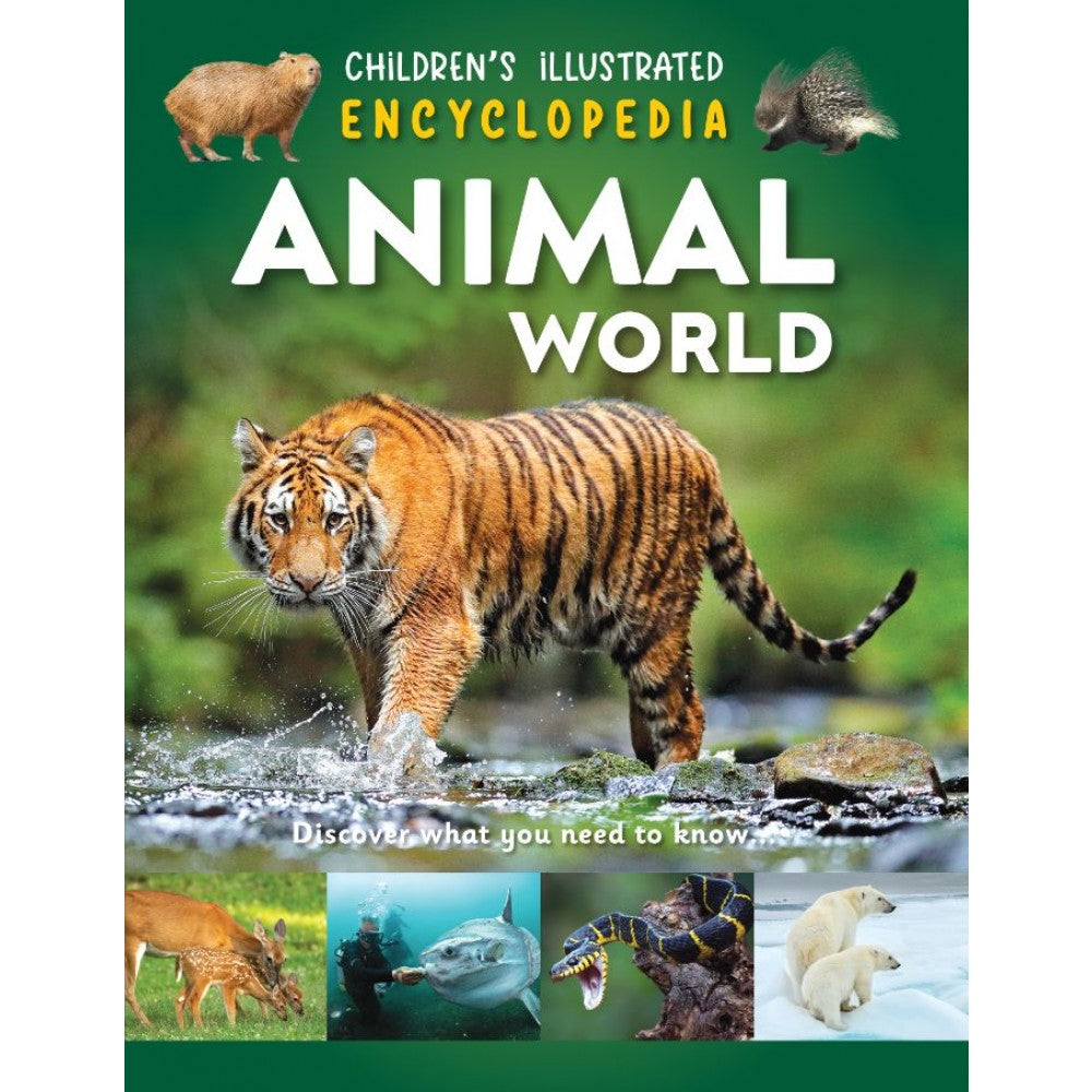 Children's Illustrated Encyclopedia Animal World – MPHOnline.com