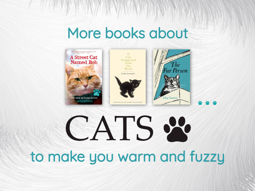More books about cats to make you warm and fuzzy – MPHOnline.com