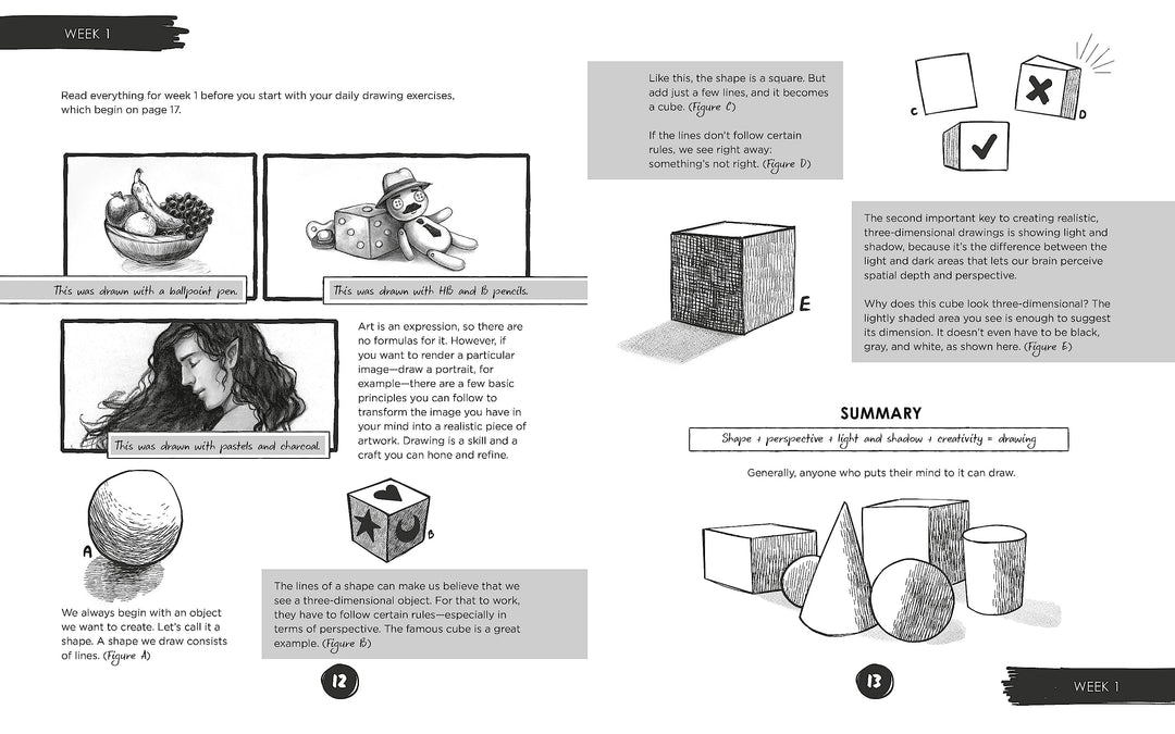 Learn to Draw in 5 Weeks : A Beginner's Workbook for All Ages ...