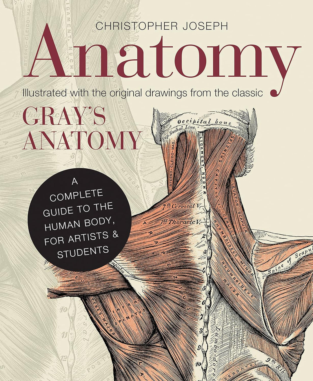 Anatomy : A Complete Guide To The Human Body, For Artists & Students ...