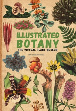 Illustrated Botany – MPHOnline.com