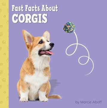 Fast Facts About Corgis – MPHOnline.com