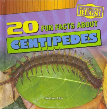 20 Fun Facts About Centipedes – MPHOnline.com