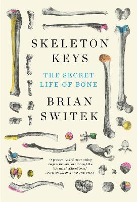 Skeleton Keys : The Secret Life Of Bone – MPHOnline.com