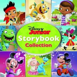 Disney Junior Storybook Collection – MPHOnline.com